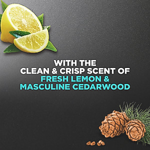 Dove Men+Care Body Wash and Face Wash Clean Comfort 13.5 oz for Dry Skin Effectively Washes Away Bacteria While Nourishing Your Skin