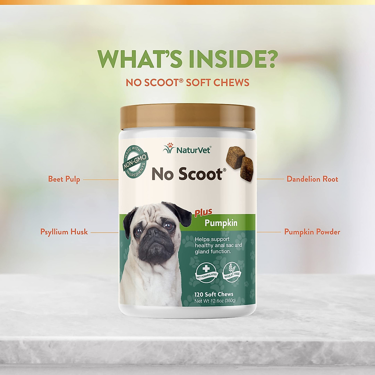 NaturVet – Advanced Probiotics & Enzymes|Supports and Balances Pets with Sensitive Stomachs & Digestive Issues 8 oz & No Scoot for Dogs - 120 Soft Chews - Supports Healthy Anal Gland & Bowel Function