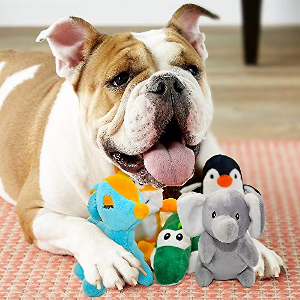 SHARLOVY Dog Squeaky Toys for Small Dogs,Stuffed Animal Puppy Toys,Cute Puppy Chew Toys for Dog Teething Toys, Pet Toys for Small to Medium Dogs,Soft Dog Toys,Plush Dog Toy Pack 12 in Gift Box