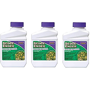 Sedge Ender Concentrate3