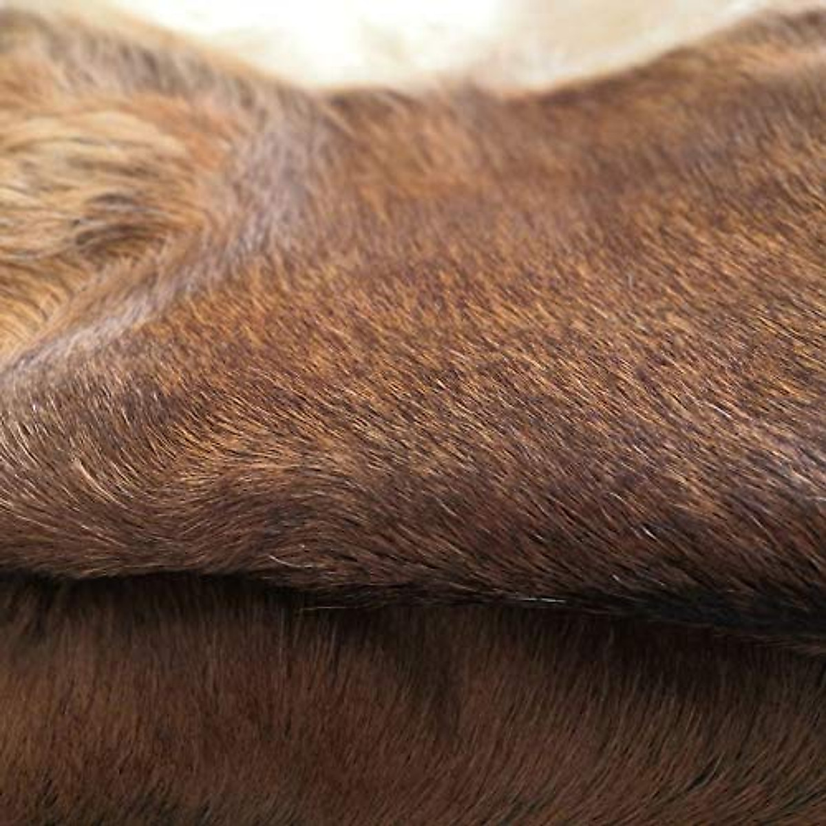 Red Deer Hide Rug Deer Skin Rug Deer Taxidermy Fireplace Deerskin Decor Reindeer Hide Area Rug Animals Mat Carpet for Home, Office, Bedroom Taxidermy Hunting Collectable 3.2x2.1ft