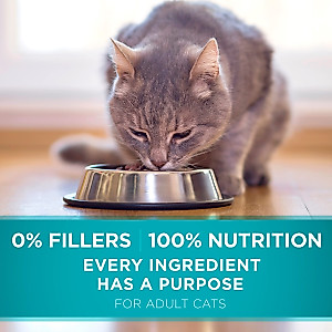 Purina ONE Natural Dry Cat Food, Tender Selects Blend With Real Salmon - 7 lb. Bag