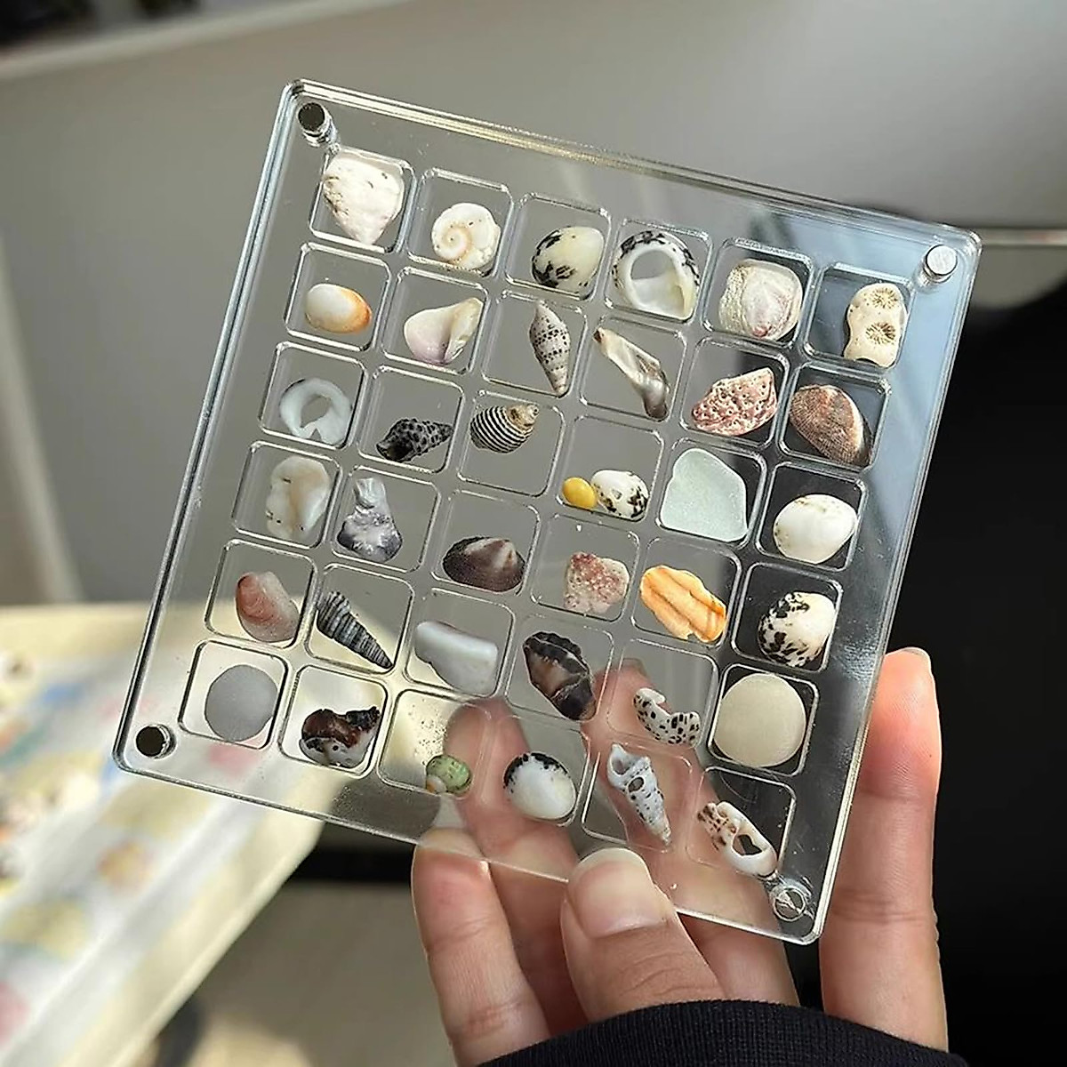 XronSlute Acrylic Magnetic Seashell Display Box,DIY Seashell Display Box,Clear Storage Box for Seashell,Gemstones,Nail,Jewelry (1Pc 36 Grids Small)