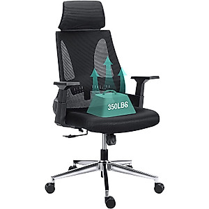 Raynesys Ergonomic Chair for Heavy People, 350 LBS Capacity with Wide Seat, Comfortable Headrest, Tilt Function Adjustable Lumbar Support,Breathable Mesh for Home Office, Black & Black
