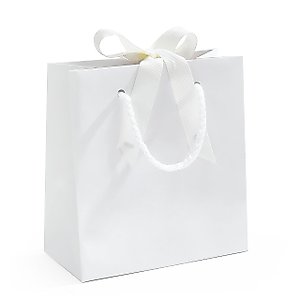 SHYRABBIT 10pcs White Gift Bags with Handles,7.9x3.1x9.1Inch Cosmetics Paper Bags,Gift Bags,White gift bags with Bow,Christmas Gift Bags, shopping Paper bags