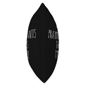 Funny Praying Mantis Owner Mens Womens Clothings Thinks I'm Cool Funny Praying Mantis Owner Throw Pillow, 16x16, Multicolor