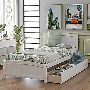 HSBD Twin Bed with Storage Drawers, Twin Size Platform Bed with 2 Drawers, Solid Wood Twin Bed with Headboard & Slat Support, No Spring Needed, Twin Storage Bed for Boys, Girls, Teens, Adults
