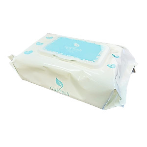 Fresh & Go GoFresh Baby Wipes, Gentle, 80 Count Per Pack (12)