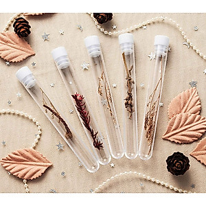 75-Pack Plastic Test Tubes with Lids - 12.5 x 98 mm Clear Plastic Vials, 7.5ml Sample Tubes for Craft, Scientific Experiment