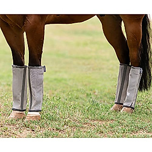 Professional's Choice Deluxe Fly Boots | Breathable Mesh | 4 Pack