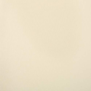 Christopher Knight Home Salem Outdoor Water Resistant Chaise Lounge Cushion, Beige