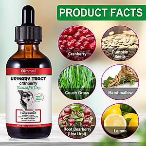 Urinary Tract Infection Treatment for Dogs, Natural Herb Supplement UTI Care Drops, Cranberry Kidney Stones Bladder Support, Keep Pet Dogs Renal Healthier, Bacon Flavor, 60ml