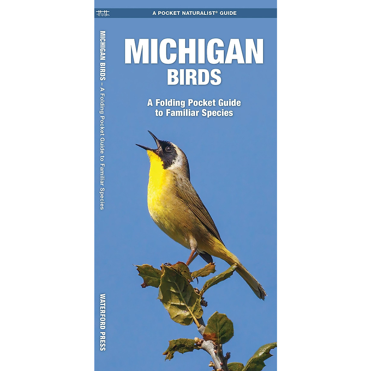 Michigan Birds: A Folding Pocket Guide to Familiar Species (Nature Observation North America)