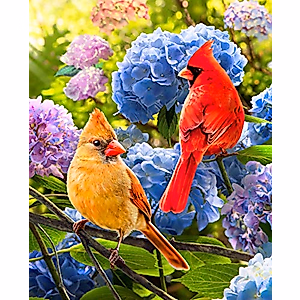 David Textiles Cardinals and Hydrangea Cotton Panel Fabric 36 X 44 Inches