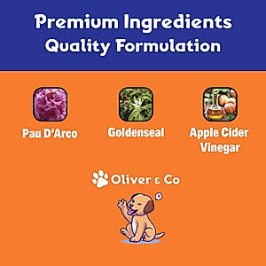 Natural Yeast Infection Treatment for Dogs | Helps to Support Itch Relief, Scratching Relief & Much More | Ear Infection Treatment for Dogs | Dog Ear Infection Treatment | 1 fl oz