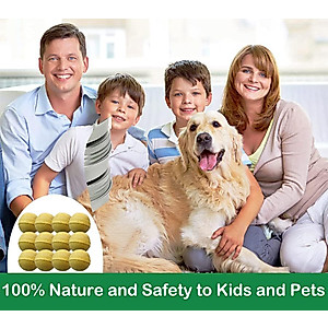 Squirrel Repellent 12 Pack, Chipmunk Repellent Outdoor, Natural Squirrel Repellent & Mint Squirrel Deterrent for Bird Feeders/Garden/Attic,Safe Around Kid & Pets, Keep Squirrel Away for Plants