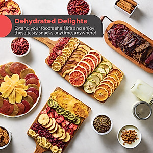 Magic Mill Food Dehydrator Machine (10 Stainless Steel Trays) Digital Adjustable Timer | Temperature Control | Keep Warm Function | Dryer for Jerky, Herb, Meat, Beef, Fruit and To Dry Vegetables