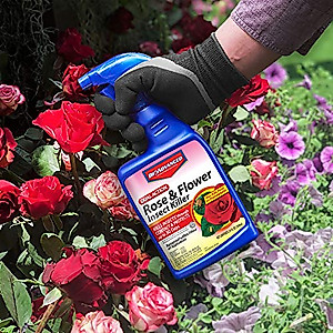 BioAdvanced Dual Action Rose and Flower Insect Killer, Ready-to-Use, 24 oz