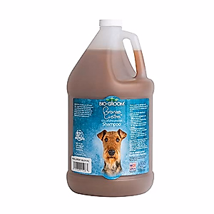 Bio-Groom Bronze Lustre Enhancer Pet Shampoo, 1-Gallon