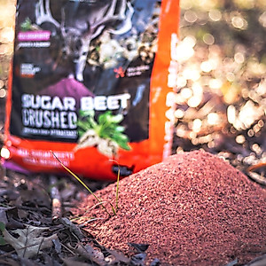 Wildgame Innovations Sugar Beet Crush 5Lb Bag