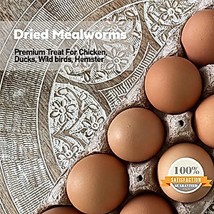 Adaman Dried Mealworms -5 LBS- 100% Natural Non GMO High Protein Mealworms - Bulk Mealworms for Wild Birds, Chicken Treats, Hamster Food, Gecko Food, Turtle Food, Lizard Food