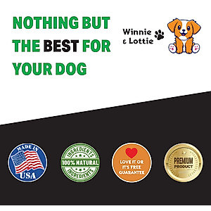 Natural Yeast Infection Treatment for Dogs | Helps to Support Itching Relief, Allergy Relief, Scratching Relief & More | Dog Ear Infection Treatment | Itch Relief for Dogs | Dog Itch Relief | 1 oz