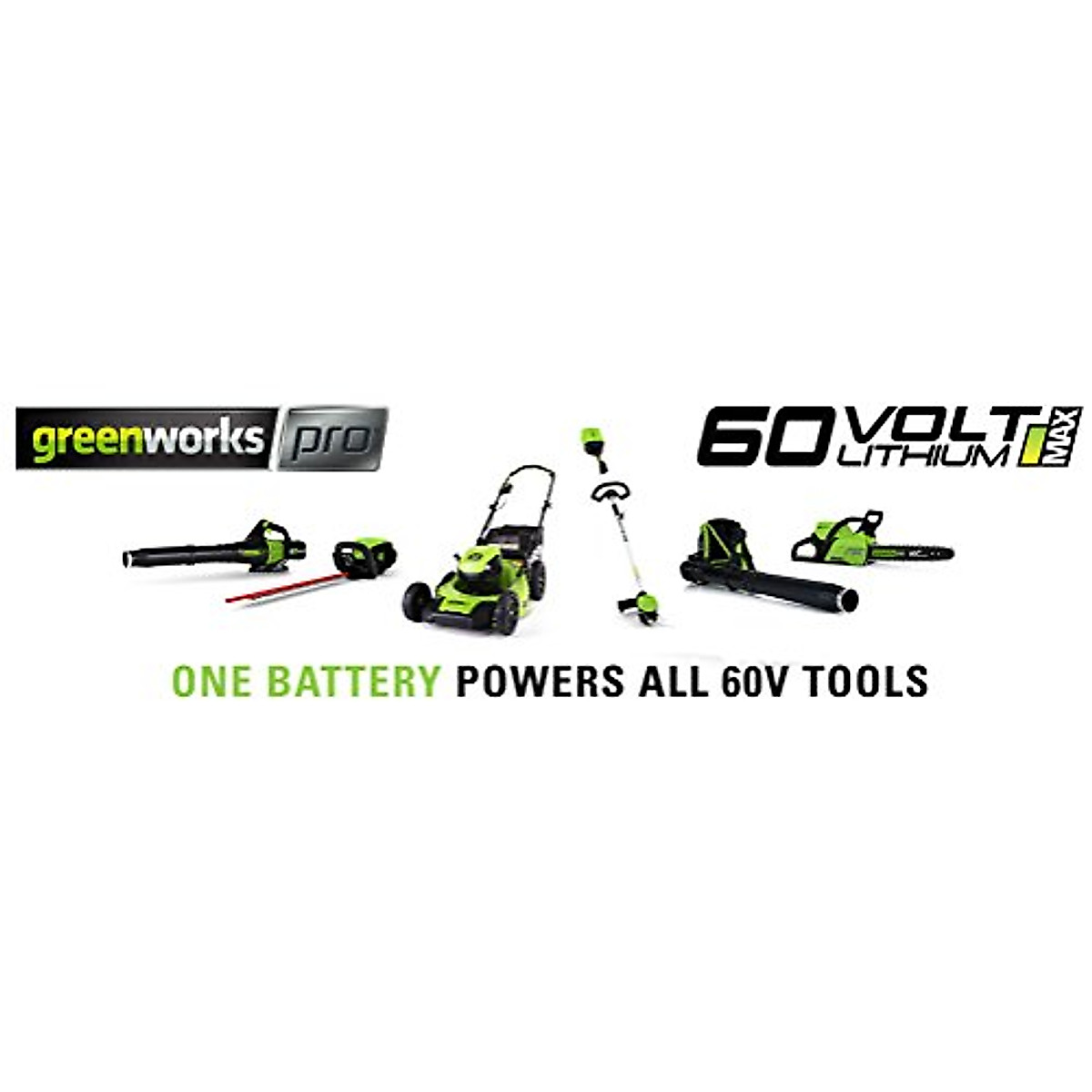 Greenworks Pro 60-Volt Max-Volt 5-Amp Hours Rechargeable Lithium Ion (Li-ion) Cordless Power Equipment Battery