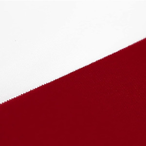 Flaglink 1.5x3Ft American Pleated Fan Flag Width Approx 90cm - US Patriotic Half Fan Bunting Flag 4 PACK