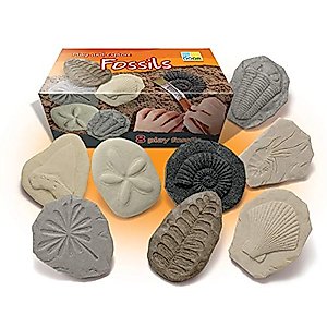 Yellow Door Let’s Investigate Fossils for Kids; Science Kit, Toddler Toys for Ages 2 Years & Older; Includes Shark Tooth, Wax Rubbing for Clay Imprint; 8-Piece Fossil Set