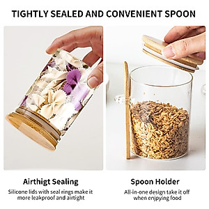 KDAWRO Airtight Glass Jars with Bamboo Lids & Bamboo Spoons, 19Oz 4PACK Borosilicate Glass Food Storage Sugar Containers, Durable Glass Canisters Hold Coffee Beans, Tea, Flour, Candy, Bath Salts