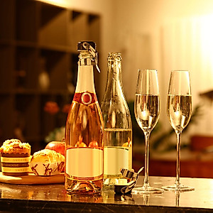 Stainless Steel Champagne Stoppers 2.71 x 1.93 Inch Wine Bottle Stoppers Sealer Reusable Champagne Cork Bottle Plug Champagne Saver Beverage Bottle Stopper for Keeping Wine Fresh(8 Pieces)