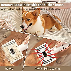 Bunfly Pet Clipper Grooming Kit & Vacuum Suction 99% Pet Hair, 7 Pet Grooming Tools, 3L Large Capacity Easy Clean Dust Cup for Pet Hair, Home Cleaning（Brown）
