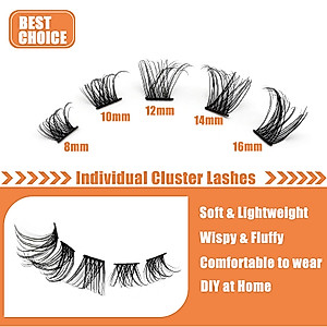 Veleasha Lash Clusters 120pcs D Curl Clusters Lashes Volume Individual Lashes Wispy DIY Lash Extensions Fake Eyelashes Mix Length 8/10/12/14/16mm at Home Lash Extension Clusters (10R,B10-D,8-16MM)