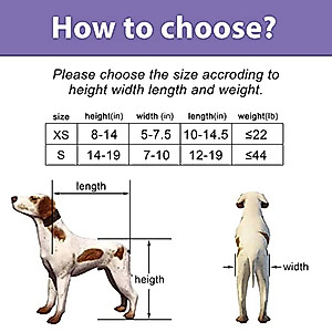 HobeyHove Adjustable Dog Wheelchair for Back Legs，Pet/Doggie Doggy Wheelchairs with Disabled Hind Legs Walking (XS-A)