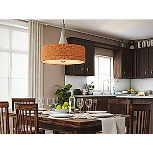 Kenroy Home 93013BS Bulletin 3-Light Pendant, Brushed Steel