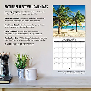 Just Black Cats 2023 Wall Calendar