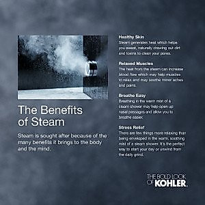 KOHLER K-5557-CP 5557-CP Steam, No Size, Polished Chrome