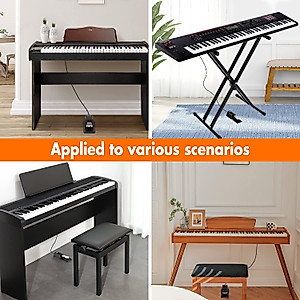 Imelod Digital Piano and Keyboard Sustain Pedal for Yamaha,Roland,Casio,Korg,Behringer,Moog - Universal Foot Pedal Black