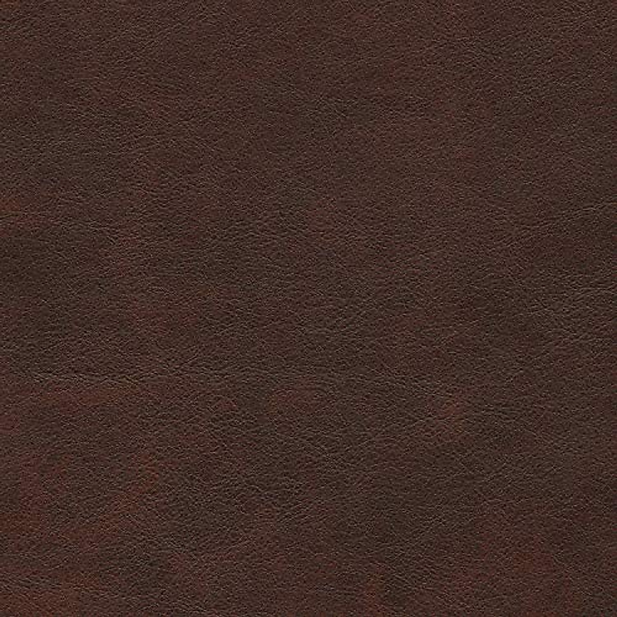 Lexicon Janwood Wall-Hugger Power Double Reclining Loveseat, Brown