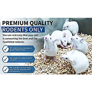 MiceDirect Frozen Rat Medium Feeder Snake Food for Adult Ball Python Monitor Lizard (20 Count)