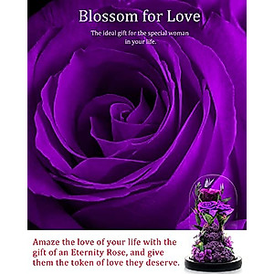 DENIMOMO Preserved Rose Gifts for Mom Wife Grandma Forever Real Roses in Glass Dome,Beauty and The Beast Rose Flowers,Thanksging Anniversary Birthday Gifts/Purple