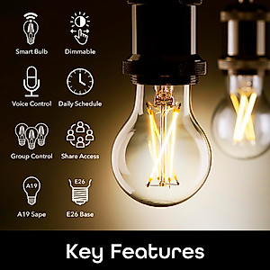 Geeni LUX Edison WiFi LED Edison Smart Light Bulb, Soft White (2700K), 2-Pack – Dimmable LED Bulbs, A19, 60-Watt Equivalent, No Hub Required, Works with Amazon Alexa, Google Home
