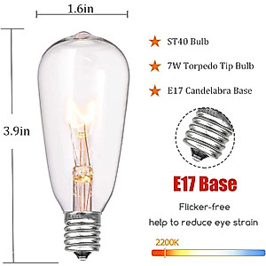 10 Pack Edison Light Bulbs, ST40 Clear Glass Light Bulb Replacement, 7W E17 Screw Base Light Bulbs for Outdoor String Lights Patio Backyard Decor, Warm White