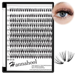 Hannahool 200Pcs 20Roots Individual False Lashes Mixed 8-10-12-14mm/9-11-13-15mm/10-12-14-16mm/16-18mm/18-20mm 0.07 Thickness Natural Cluster Lashes Makeup Volume Eye Lashes Extensions (10-12-14-16mm)