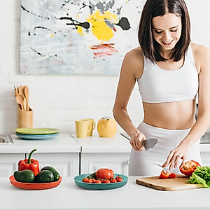 Phyllia Set of 6 Wheat Straw Plates, 9 Inch Unbreakable Deep Dinner Plates, Microwave and Dishwasher Safe Plastic Plates Reusable, Lightweight Plates for Kitchen Camping, Picnic, Party, Dorm