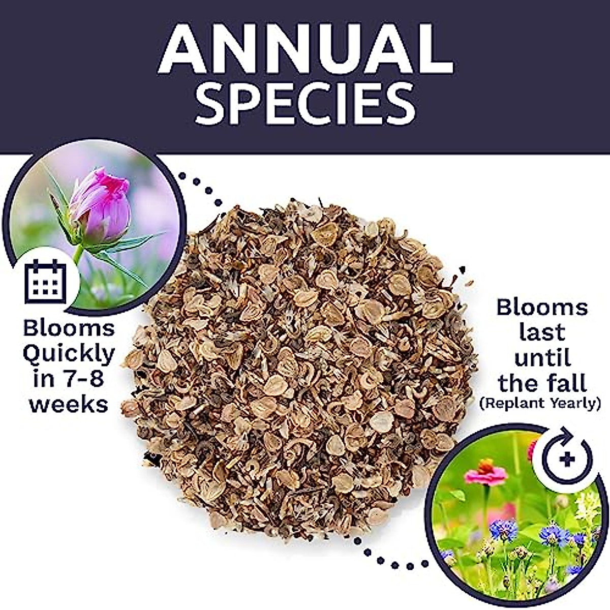 Wildflower Seeds Annual Quick Blooming Mix - Large 1 Ounce Packet Over 7,500 Open Pollinated Seeds