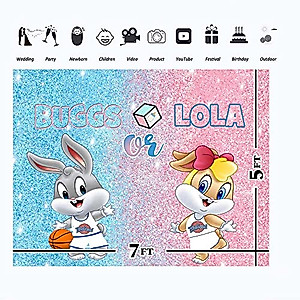 Moonlight Studio Space Jam Baby Shower Decorations Backdrop 7x5 Space Jam 2 Gender Reveal Banner for Party Supplies Vinyl Pink Or Blue Baby Shower Space Jam Theme Backdrops