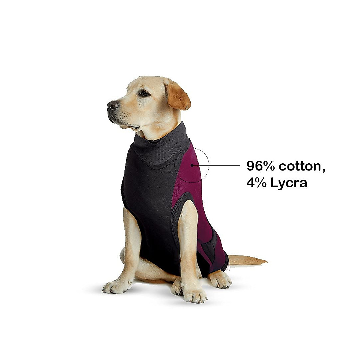 MAXX Dog Recovery Suit – Breathable, Cozy Post-Surgery Suit for Wounds – E-Collar, Cone Alternative (Ruby Red Grey, XS)