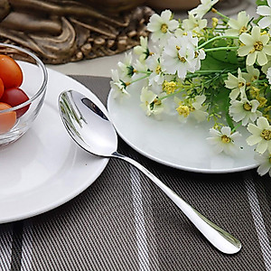 VANRA 6-Piece Dinner Spoons Set Soup Spoons Heavy Duty Stainless Steel Silver Cutlery Set 8 inches (6 spoons)