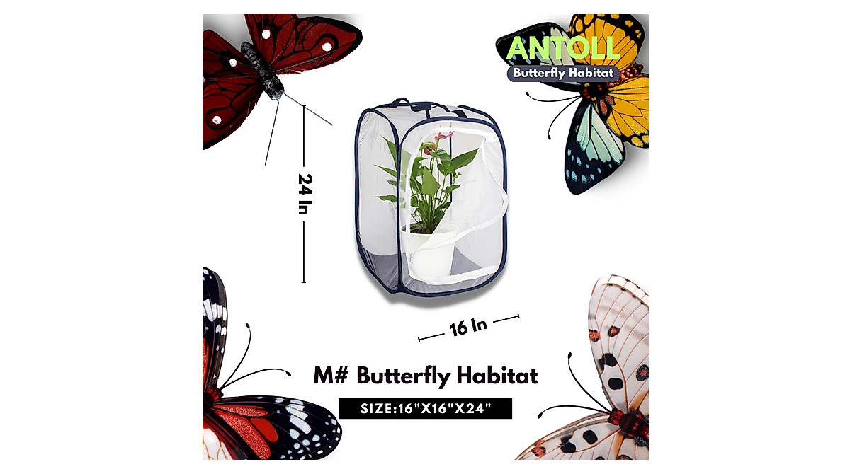 Antoll 2Pcs 24" M Size Blue Butterfly Habitat Cage, Monarch Butterfly ...